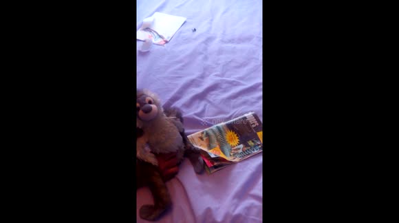 Chippy the MONKEY ordering from a catalog . - Buy, Sell or Upload Video ...