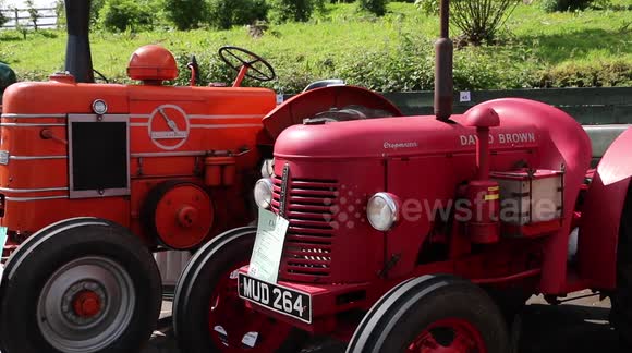 Devon County Show 2017 - Mary Phillips Tractor Driver - Buy, Sell or ...