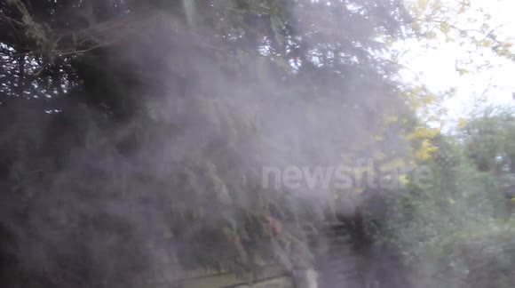 Saharan Dust In Trees From Belfast (2) - Buy, Sell or Upload Video ...