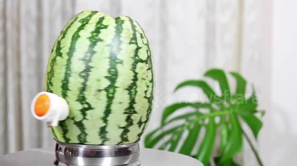 How to make your own watermelon juice dispenser - Buy, Sell or Upload ...