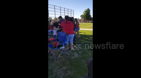 Newsflare Edit - Parents fight at kids baseball match in the US - Buy ...