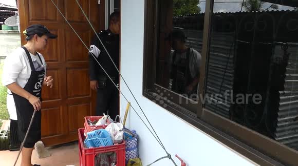 Five-Metre-Long Python Eats Then Regurgitates Family's Pet Cat - Buy ...