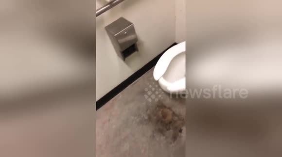 Newsflare Edit - Can't Poop Because Toilet is Frozen | Welcome to ...