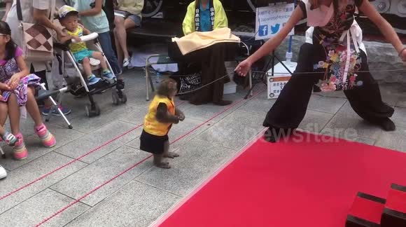 Street Performers - Japanese Girl with A Monkey - Buy, Sell or Upload ...