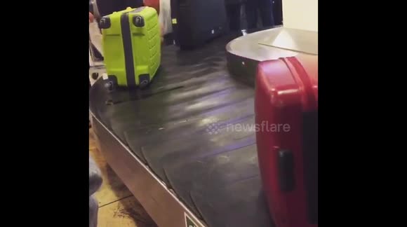 Packing fail! - Buy, Sell or Upload Video Content with Newsflare