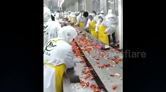 Massive food fight breaks out at Chinese crawfish processing plant ...