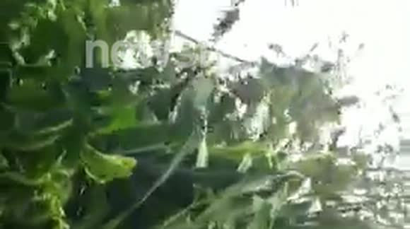 Cyclone Evans - Fiji Islands, Sigatoka. - Buy, Sell or Upload Video ...