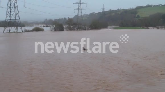 Flooding in Exeter - River Exe swells to bursting once again. - Buy ...