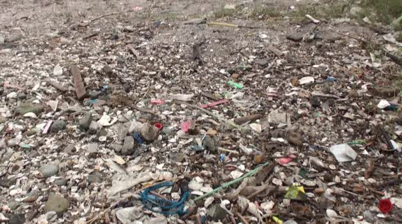 Beach of plastic waste and volunteer clean-up team, Manila Bay ...
