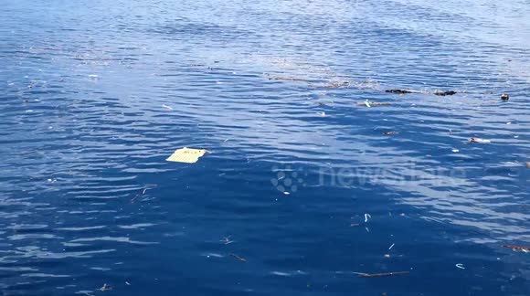 Plastic trash floating in the Ocean in Indonesian Marine National Park ...