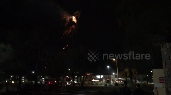 Palm Tree catches on fire after lightning strike. - Buy, Sell or Upload ...