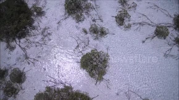Spectacular drone footage of the shallow flats of Eleuthera (With ...