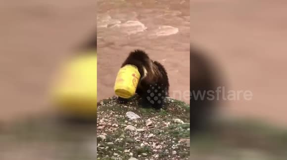 Villagers save bear cub with head stuck in bucket - Buy, Sell or Upload ...