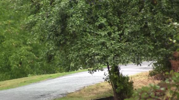 HARD CRASH SKODA FABIA R5 RALLY ACCIDENT - Buy, Sell or Upload Video ...