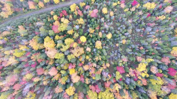 [4K] Stunning Drone Footage: Peak Fall Foliage | Western Newfoundland ...
