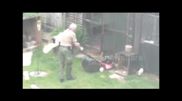 Bird expert caught mistreating animals by brave neighbour - Buy, Sell ...