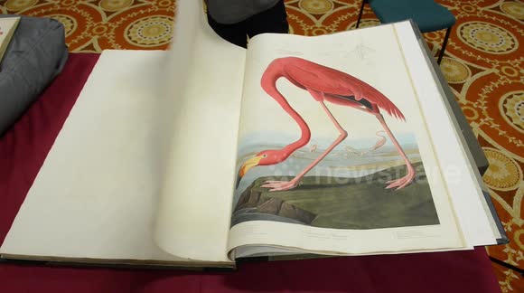 The British Library is now displaying one of the world's most expensive ...
