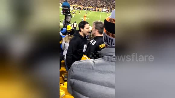 Steelers fans fight each other during NFL game - Buy, Sell or Upload ...