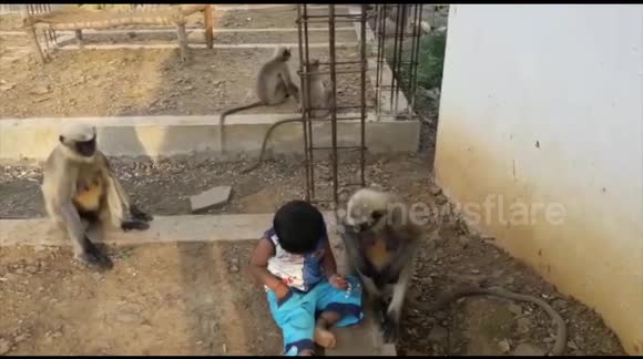 Unusual animal friendship - Three Year Old boy whose friends are ...