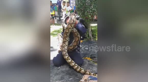 Python wraps itself around fireman’s head as safety demonstration goes ...