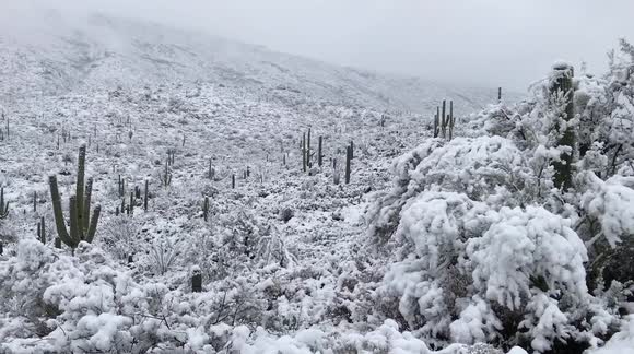 Snow in the desert? Wintry scene covers Arizona national park - Buy ...