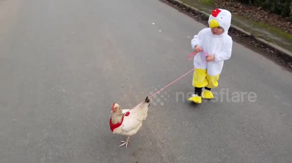 Little girl in chicken suit walks her chicken - Buy, Sell or Upload ...
