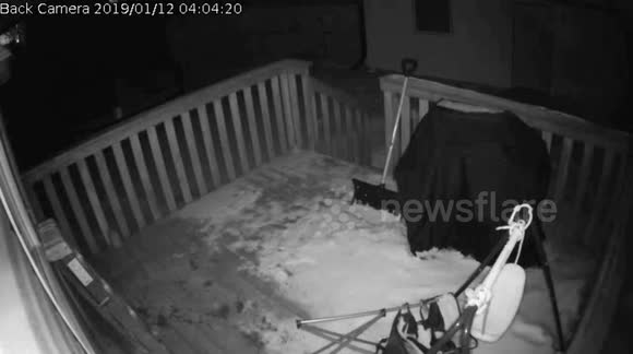 Orbs, Orbs And More Orbs! Man They Burn Through Saved Security Footage ...