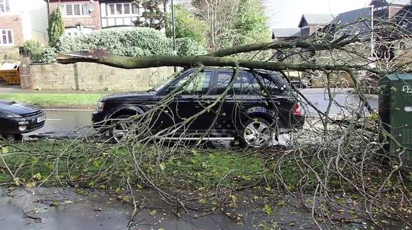 Large Tree Branch falls onto Land Rover below, damaging roof and bonnet ...