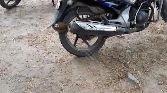 Man finds giant python inside motorcycle in northern India - Buy, Sell ...