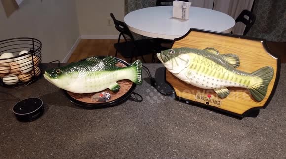 Texas man installs Amazon Alexa into a talking fish - Buy, Sell or ...