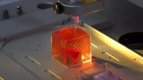 Heart-maker? Israeli university 3D prints miniature human heart in ...