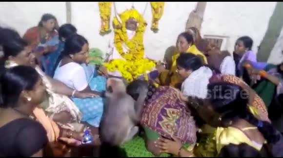 Heartwarming moment monkey consoles mourners at funeral in southern ...