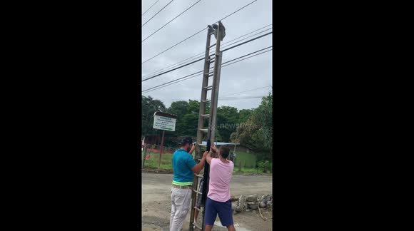 Tourists and locals team up to rescue sloth hanging from electrical ...