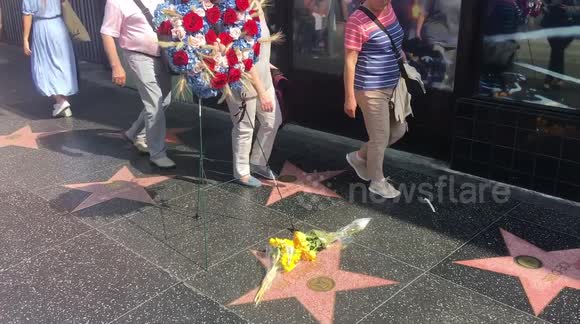 Tim Conway Star on Hollywood Walk Of Fame. - Buy, Sell or Upload Video ...