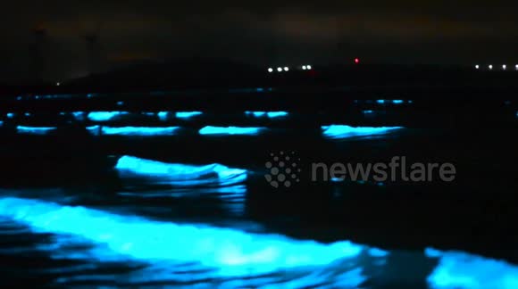 Luminous 'blue tears' phenomenon lights up waters on Chinese beach ...