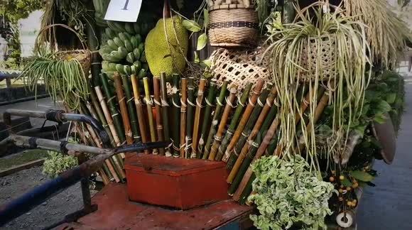 Filipino Farmers Show Off Harvests At Festival - Buy, Sell or Upload ...