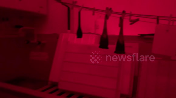 Red room - Buy, Sell or Upload Video Content with Newsflare