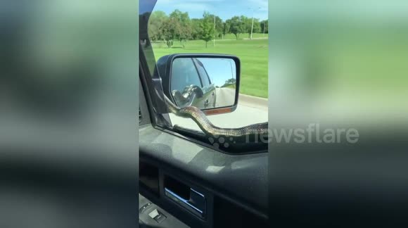 Kansas driver uses windshield wiper to get snake off moving vehicle ...