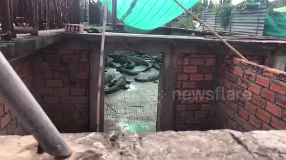 Girl, 2, Eaten Alive By Crocodiles On Family's Farm In Cambodia - Buy ...