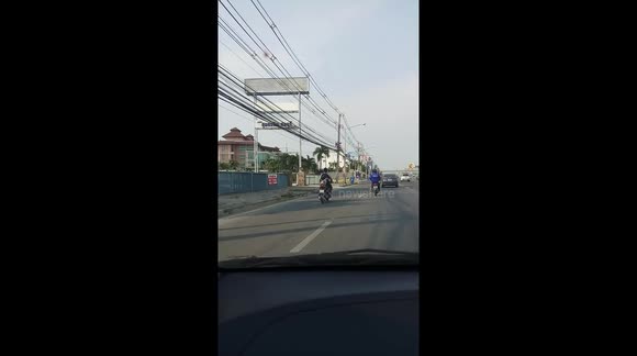 Shih Tzu Rides On The Back Of Motorcycle - Buy, Sell or Upload Video ...
