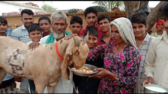 Meet the £100,000 goat with the words for 'Allah' and 'Mohammed' marked ...
