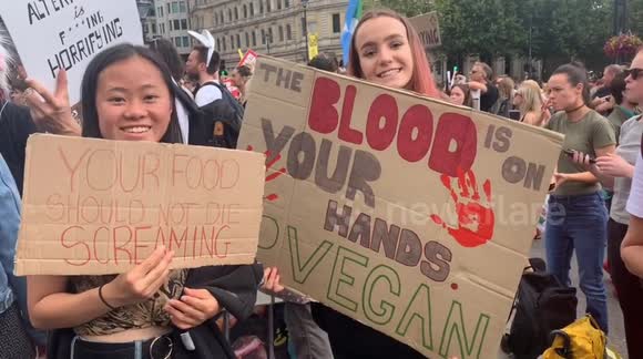 Vegan activists Animal Rebellion stage protests in London’s Trafalgar ...