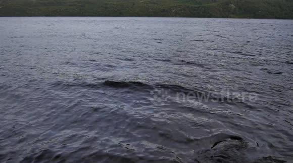 Loch Ness Monster may be giant eel after scientists analyse DNA from ...