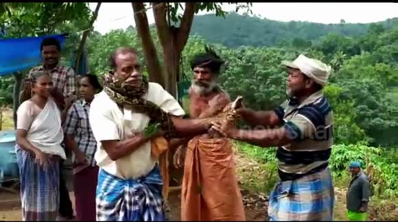 Deadly 10-foot-long python coils around Indian man's neck and has to be ...