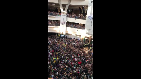 Springboks arrive back in South Africa to hero's welcome at ...