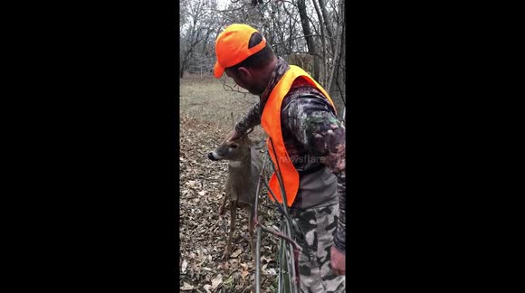 Incredible moment trapped deer shows affection to hunters that rescued ...