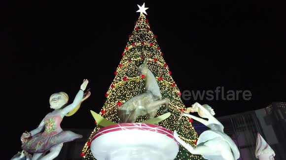 75 feet tall tree is being touted as the tallest Christmas Tree in ...