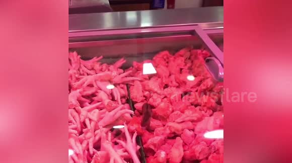 Rat spotted scurrying around on meat inside freezer at Chinese ...