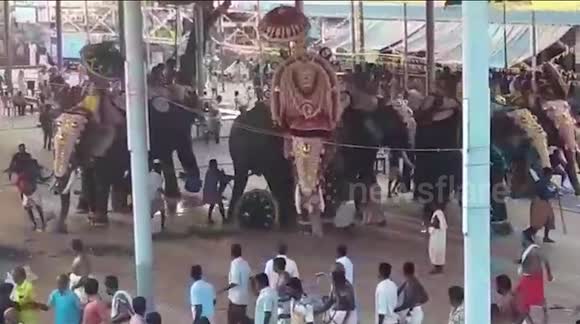 Elephant causes panic after running amok at south Indian festival - Buy ...