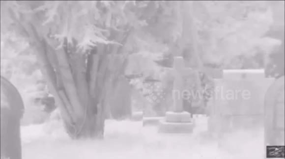 ALIEN AND SPIRIT CAPTURED IN CEMETERY ON FILM. - Buy, Sell or Upload ...